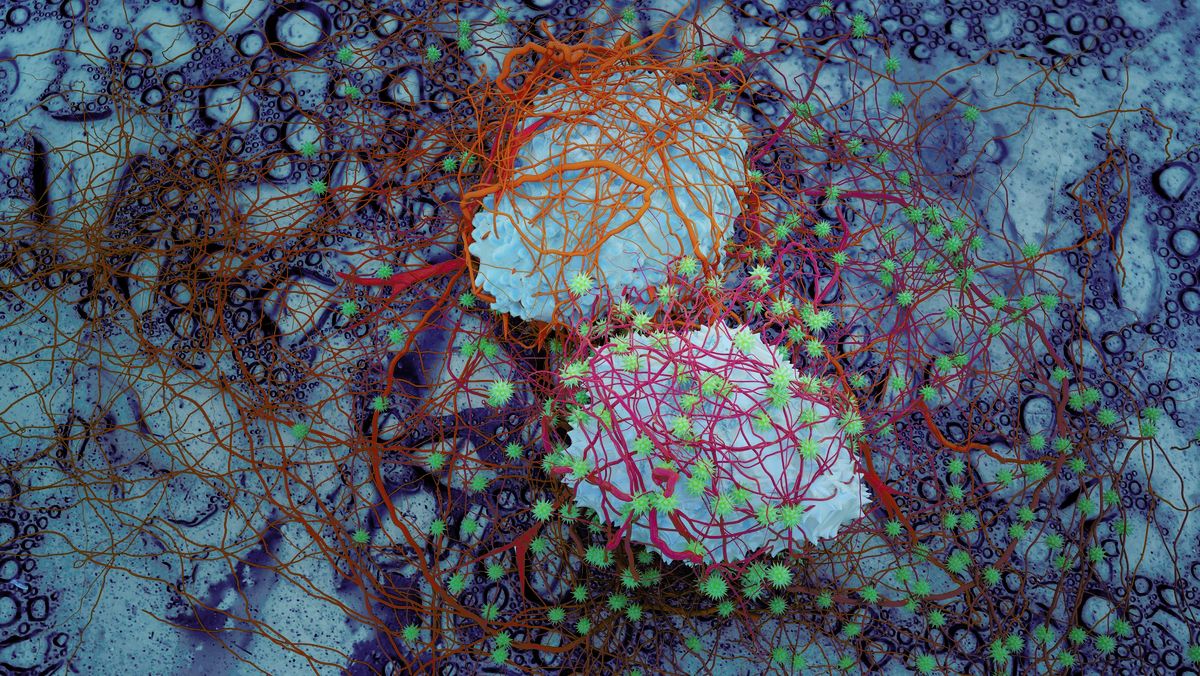 Study: Patients favor accelerated approval for oncology drugs without ...